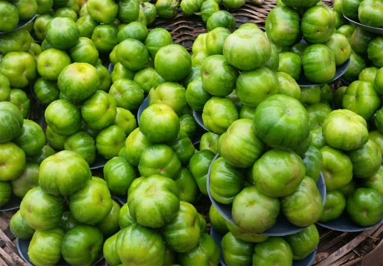 Health benefits of Eating Garden Eggplant - 9jafoods