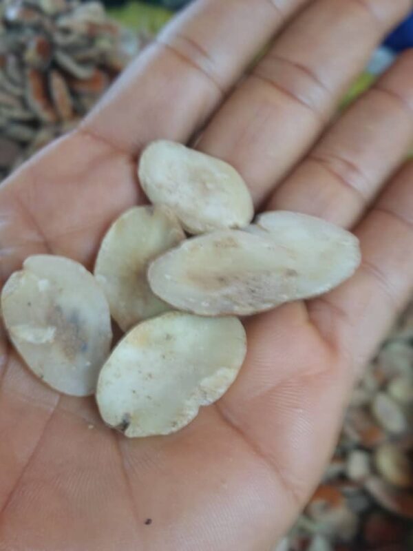 How To Prepare Ogbono Soup Using The Boiling Method - 9jafoods