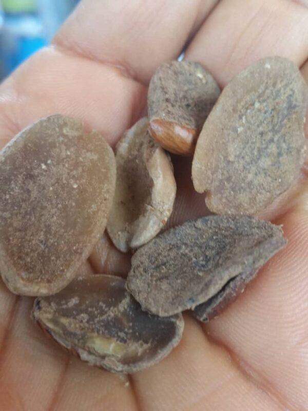 How To Prepare Ogbono Soup Using The Boiling Method - 9jafoods