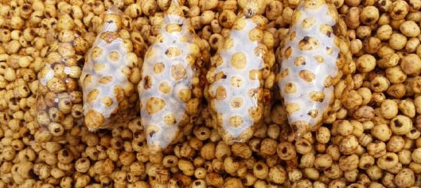 9jafoods - A Naija food blog