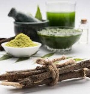 Neem / Dogonyaro: A Tree for Solving Universal Complications - 9jafoods