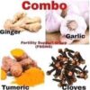 Benefits of ginger, garlic, turmeric & cloves combo + side effects ...