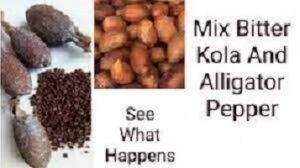 Bagaruwa Seed Uses and Health Benefits - 9jafoods