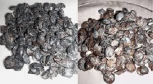 Iru Recipe - African Fermented Locust Beans - 9jafoods