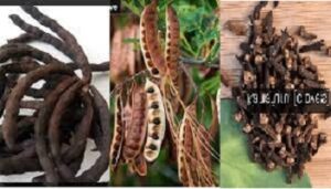 Bagaruwa Seed Uses and Health Benefits - 9jafoods